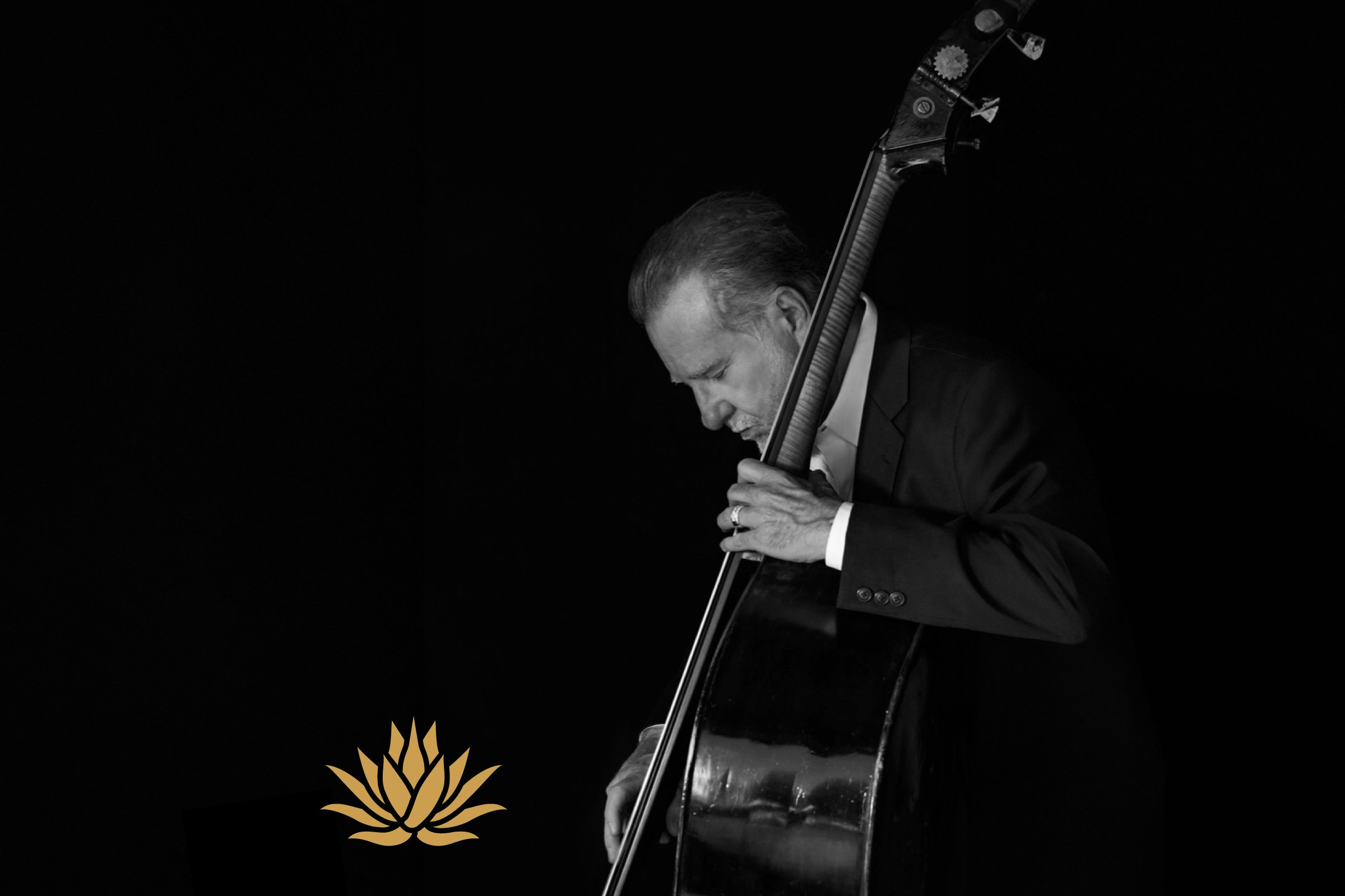 Brian Bromberg Trio: The LaFaro Project (Night One) - Hotel Congress
