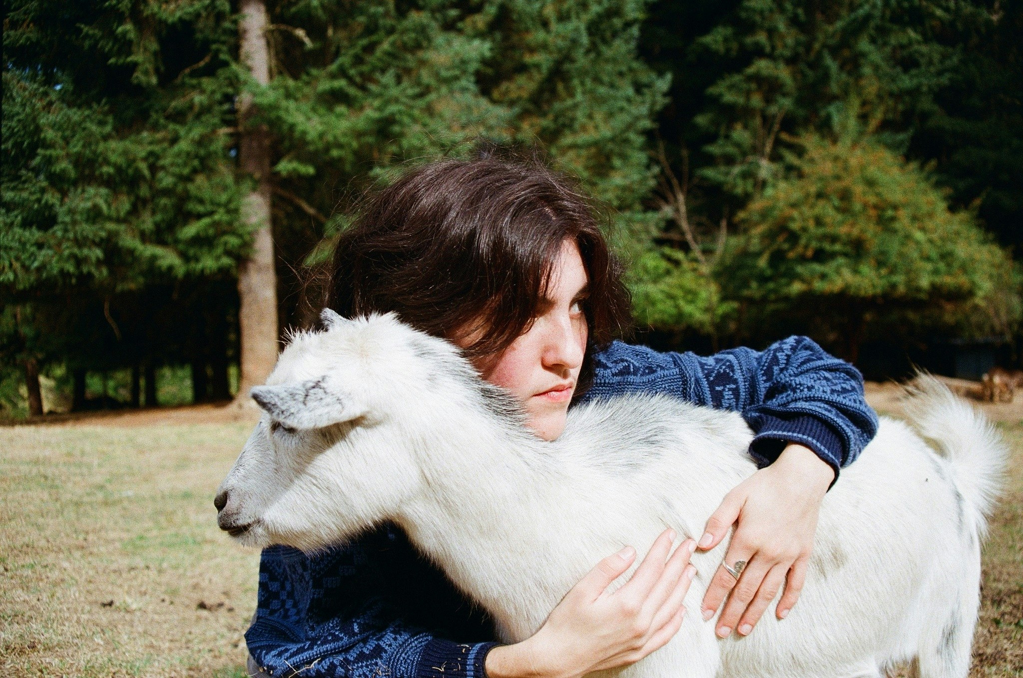 Searows Biglietti | Da 17,88 £ | 14 set @ CHALK , Brighton | DICE