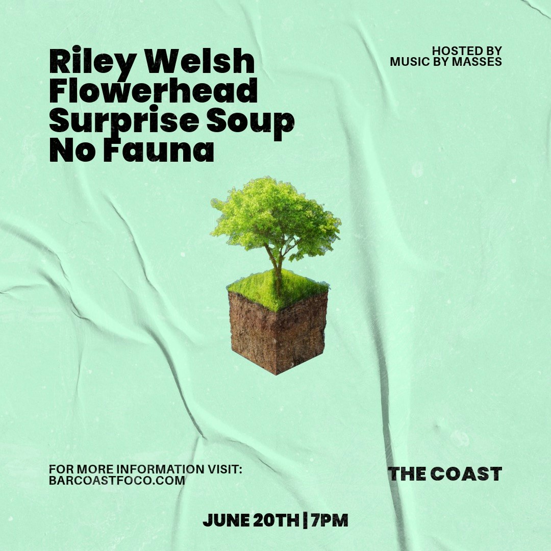 Riley Welsh, Flower Head, Surprise Soup, No Fauna Biglietti | 15,15 ...