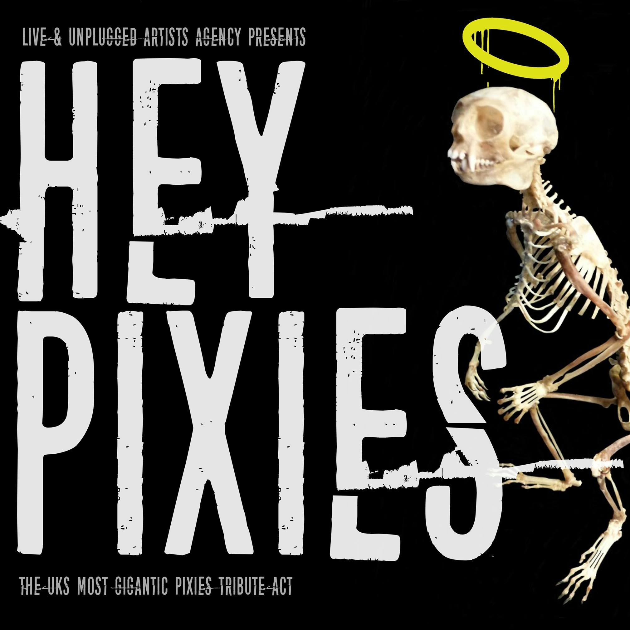 Hey Pixies Tickets | £16.38 | Jan 24 @ The Joiners, Southampton ...