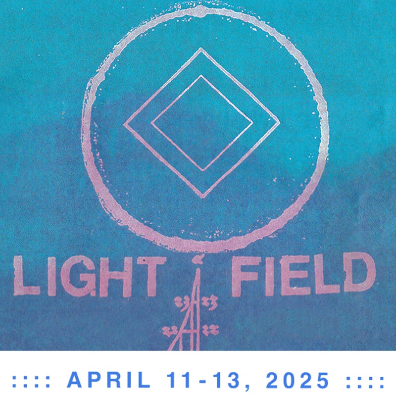 LIGHT FIELD 2025 | DICE